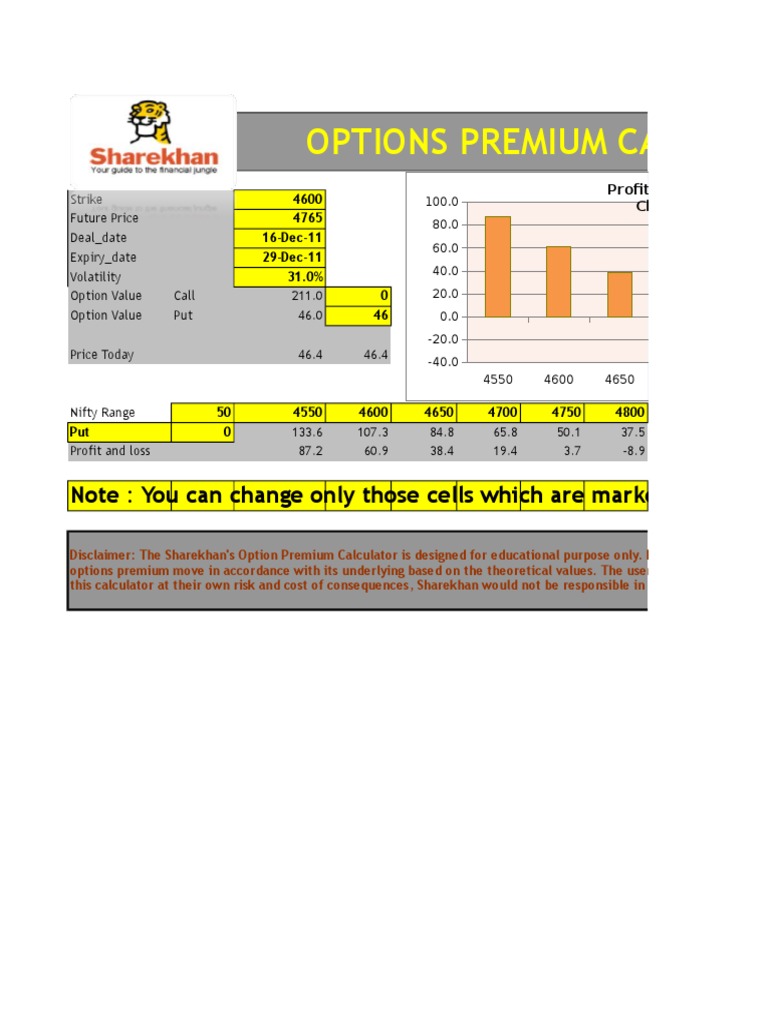 Options Premium Calculator | PDF