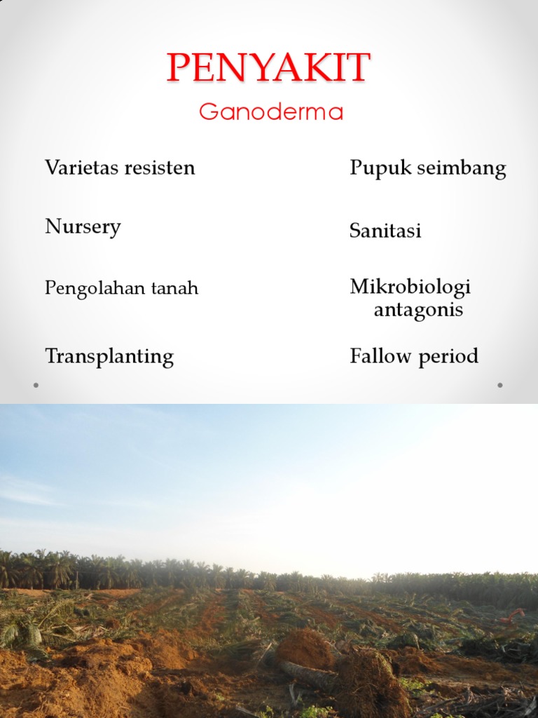 Pengendalian Penyakit Ganoderma | PDF