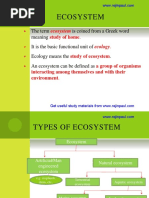NJUG Publication Volume 1 | PDF | Root | Trees