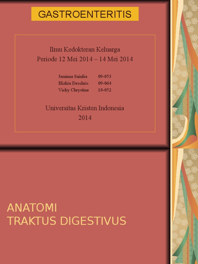 Anatomi Fisiologi Sistem Gastrointestinal | PDF