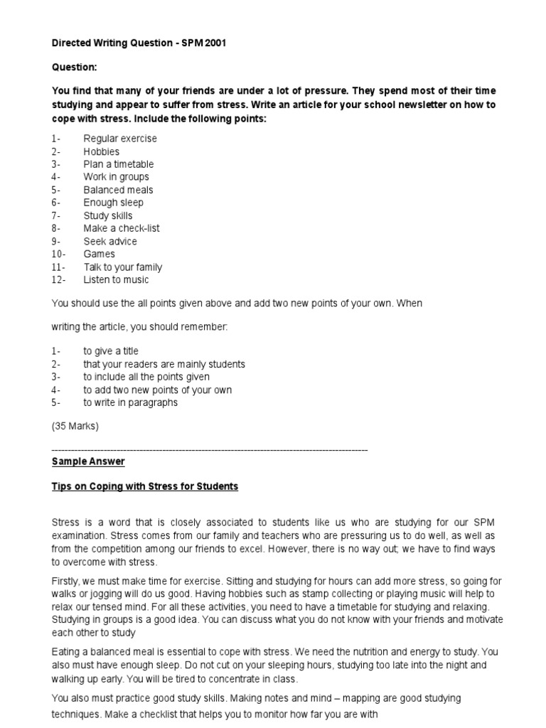 SPM English Essay | PDF | Social Networking Service | Disability