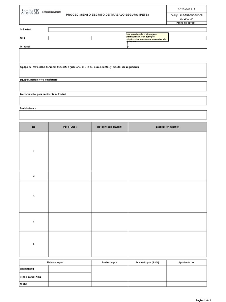 Formato 2. Ml2 Ast Sso 002 FR - Pets | PDF