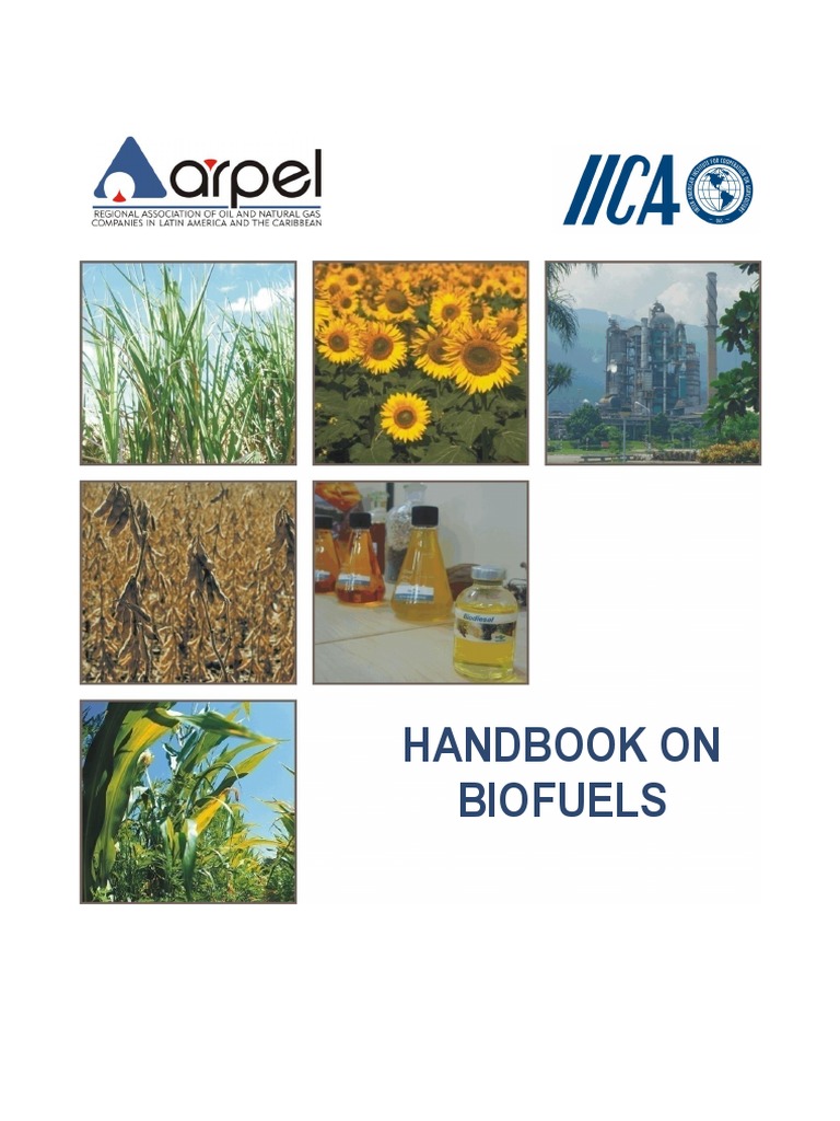 Handbook On Biofuels Pdf Pdf Biodiesel Biofuel