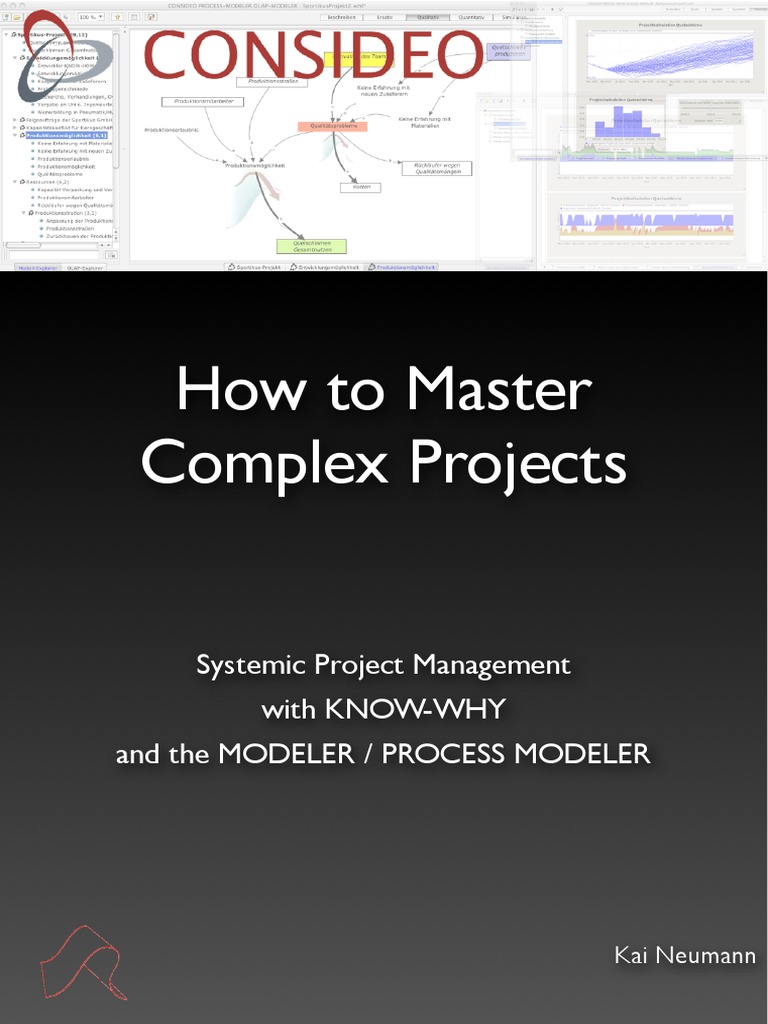 Systemic Project Management | PDF