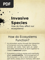 Informational Reading Comprehension Invasive Species | PDF | Invasive ...