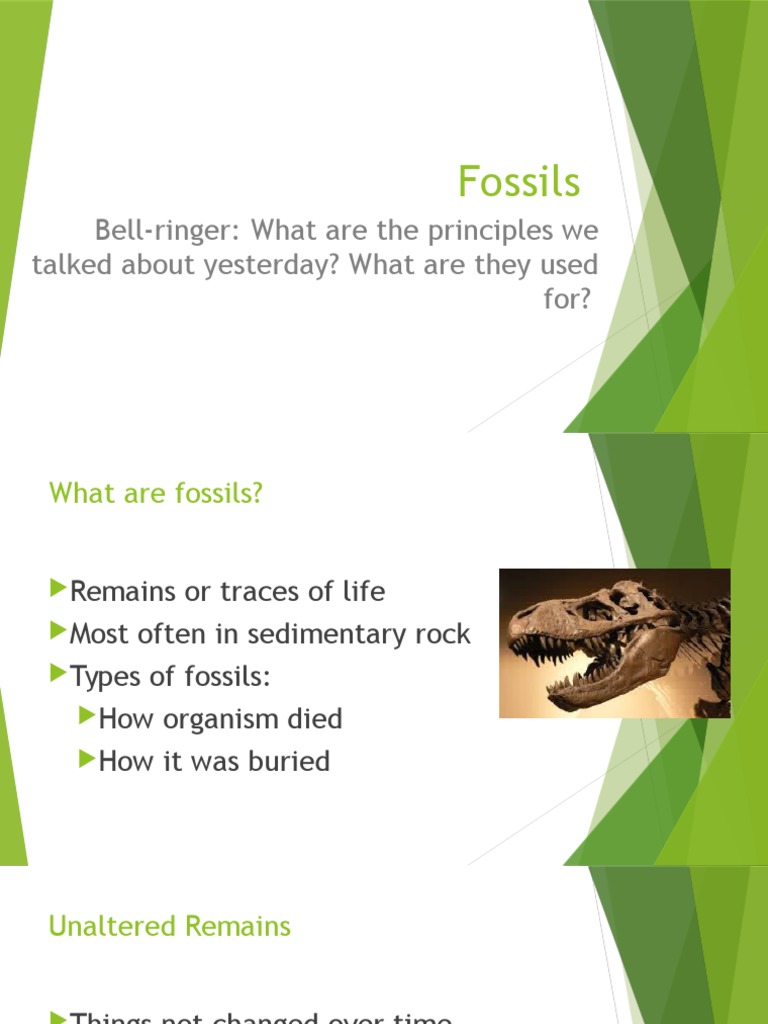 Understanding Fossils and Their Importance | PDF