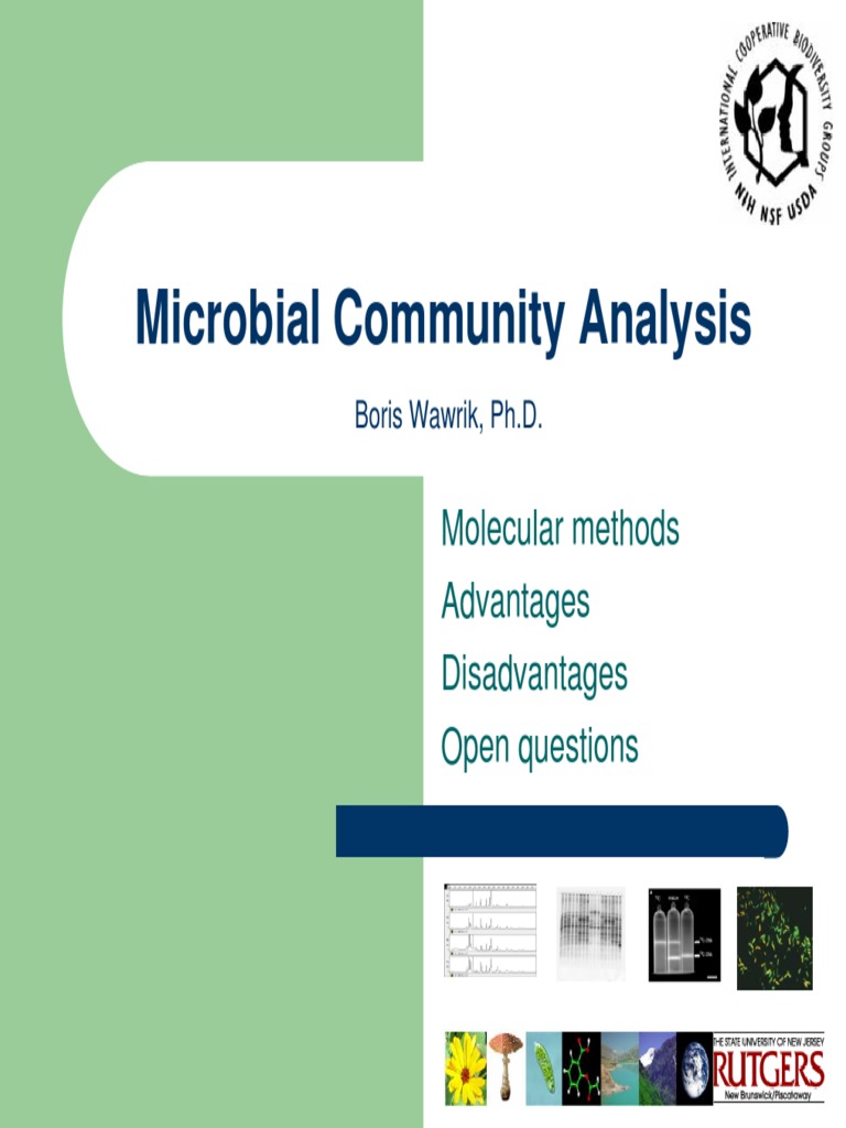 Wawrik Microbial Community Analysis | PDF | Polymerase Chain Reaction ...