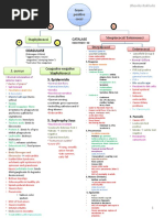 Bacterial ID Flowchart | PDF | Streptococcus | Staphylococcus