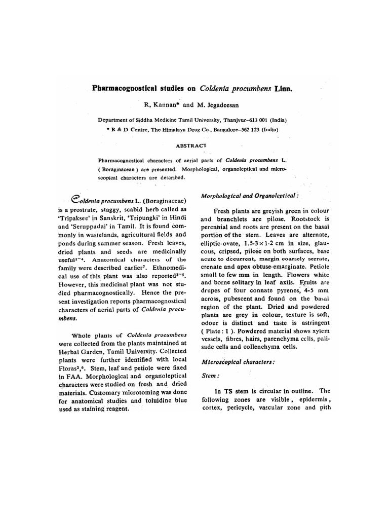 015 Pharmacognostical Studies On Coldenia Procumbens PDF | PDF