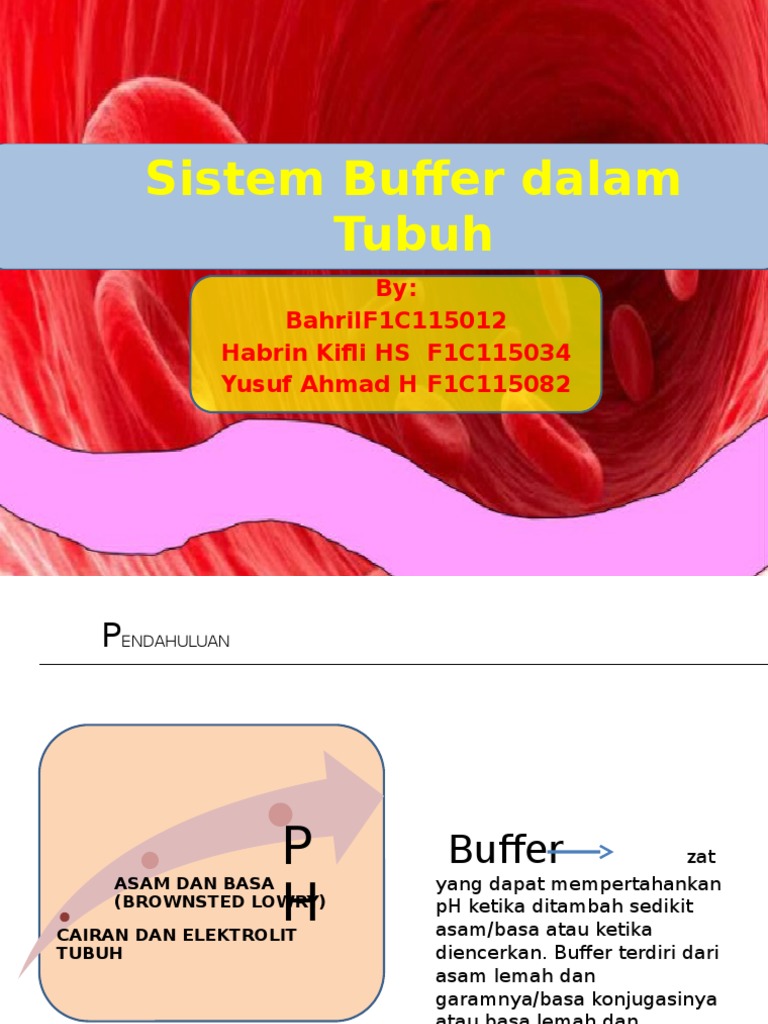 Biokimia 1 Sistem Buffer Dalam Tubuh | PDF
