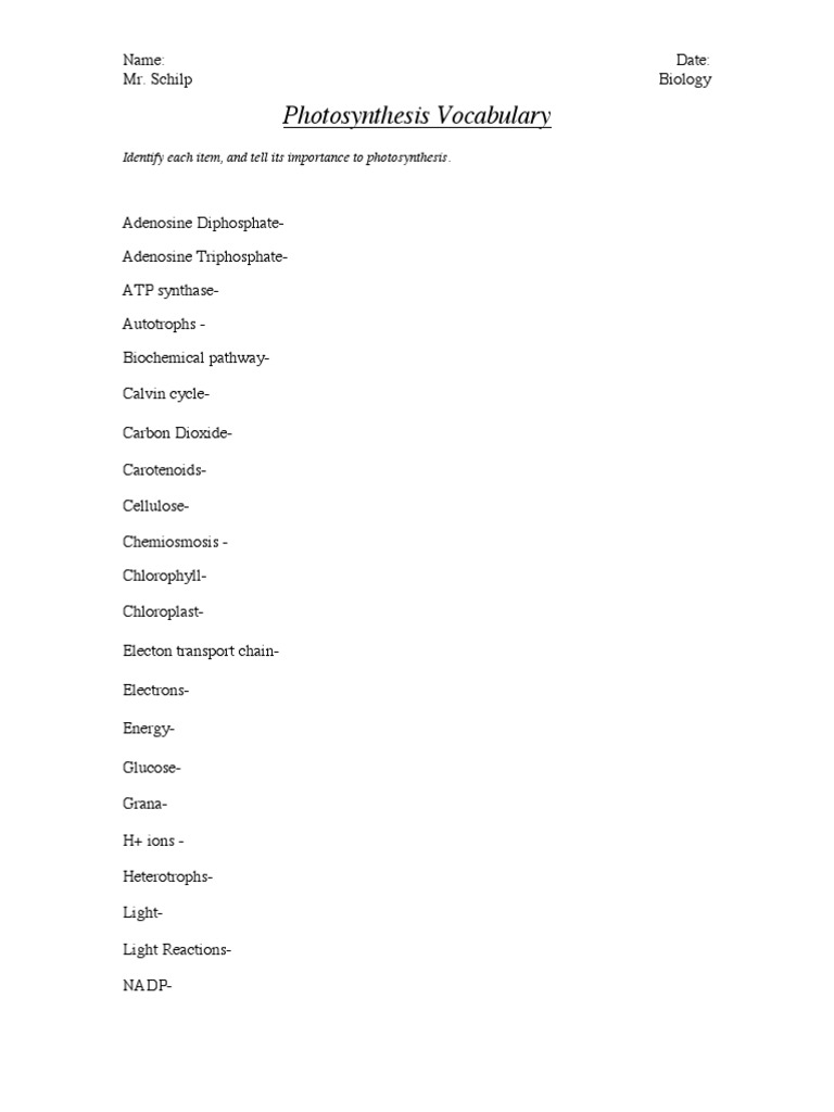 ACC Photosynthesis Vocabulary | PDF | Science & Mathematics