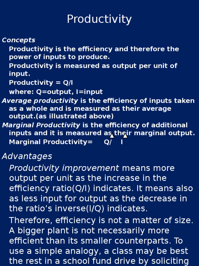 Productivity Report | PDF