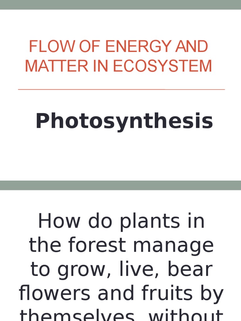 Flow of Energy and Matter in Ecosystem | PDF | Photosynthesis | Chloroplast