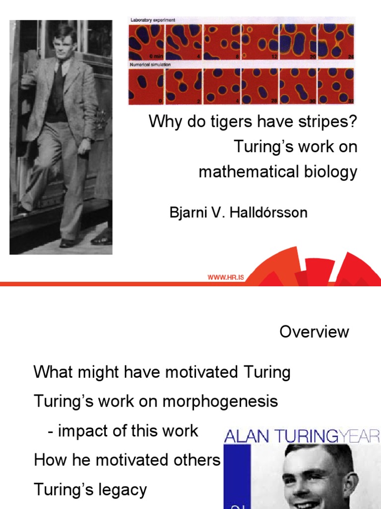 Alan Turing's Groundbreaking Work on Pattern Formation and Reaction ...