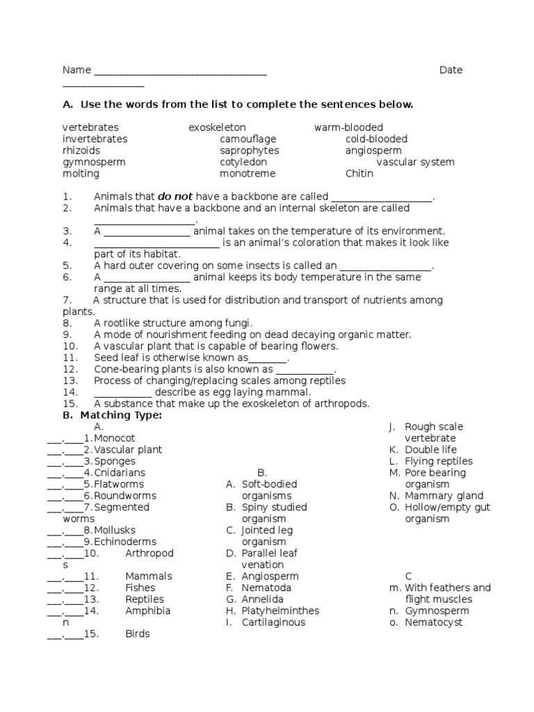 Animal Classification Worksheet for Grade 3 | PDF | Reptile | Mammals