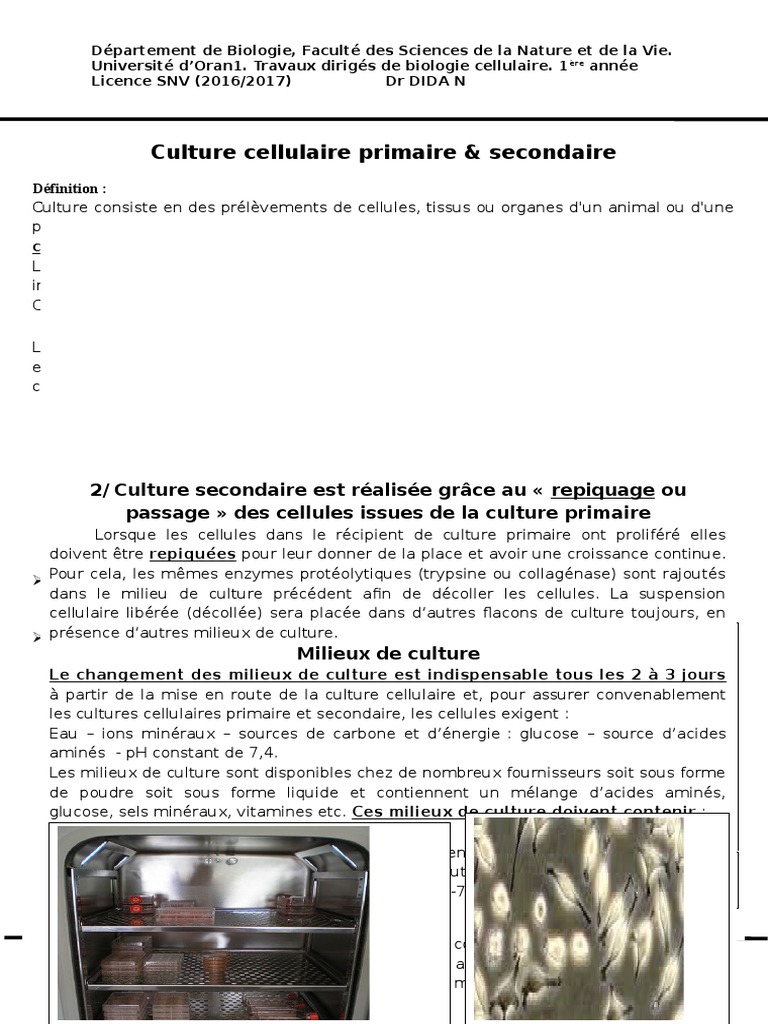 Culture Cellulaire : Primaires et Secondaires | PDF | Milieu de culture ...
