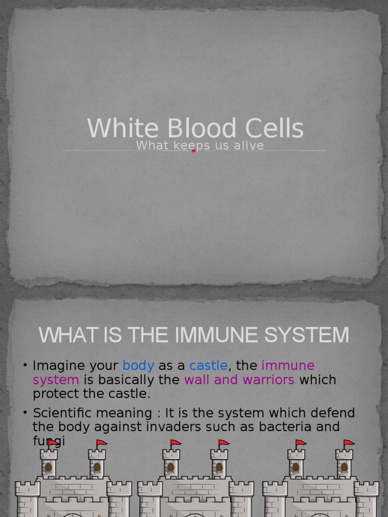 Understanding White Blood Cells and Immunity | PDF | White Blood Cell ...