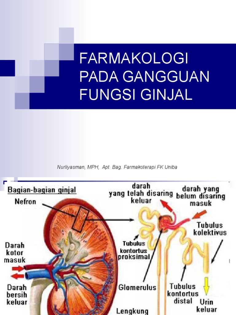 Farmakologi Gangguan Fungsi Ginjal | PDF