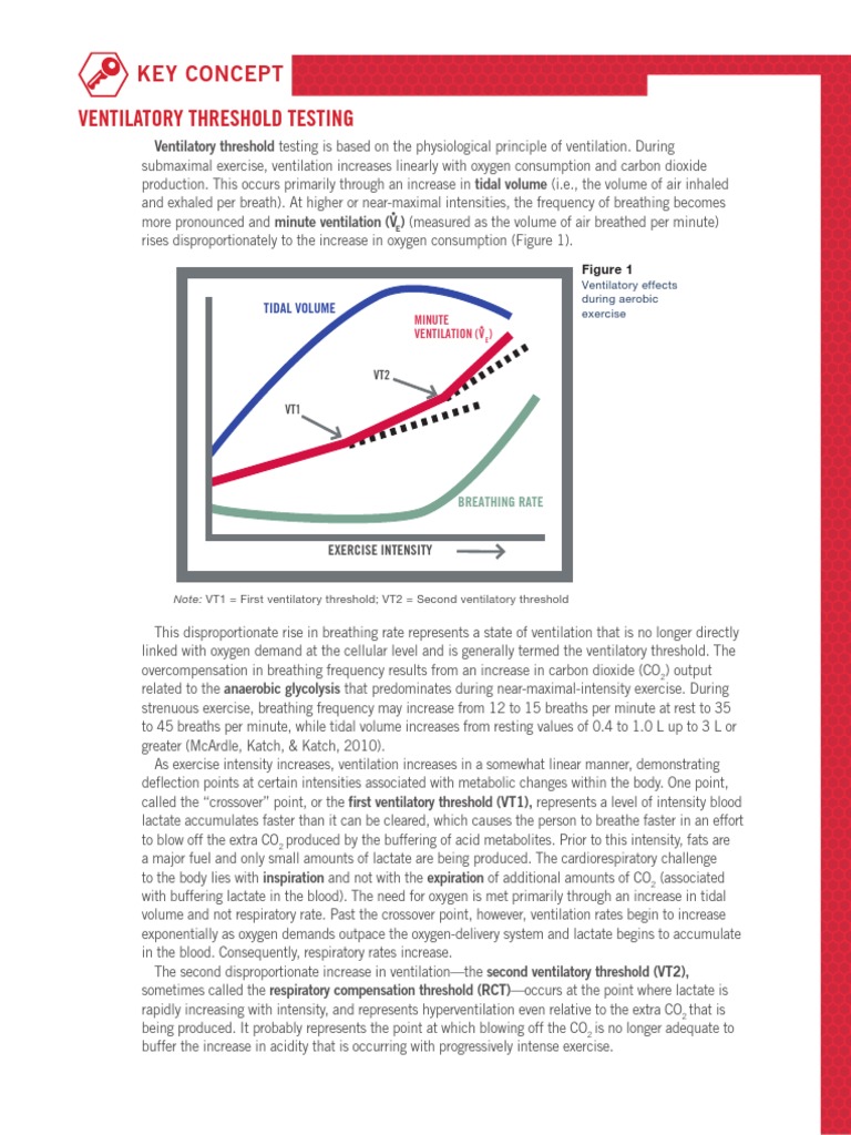 VT Testing | Download Free PDF | Breathing | Physical Exercise
