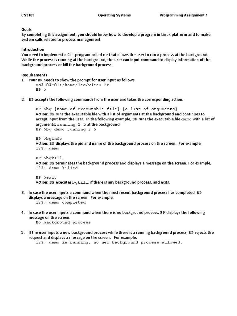 Asg 1 | PDF | Operating System | Parameter (Computer Programming)
