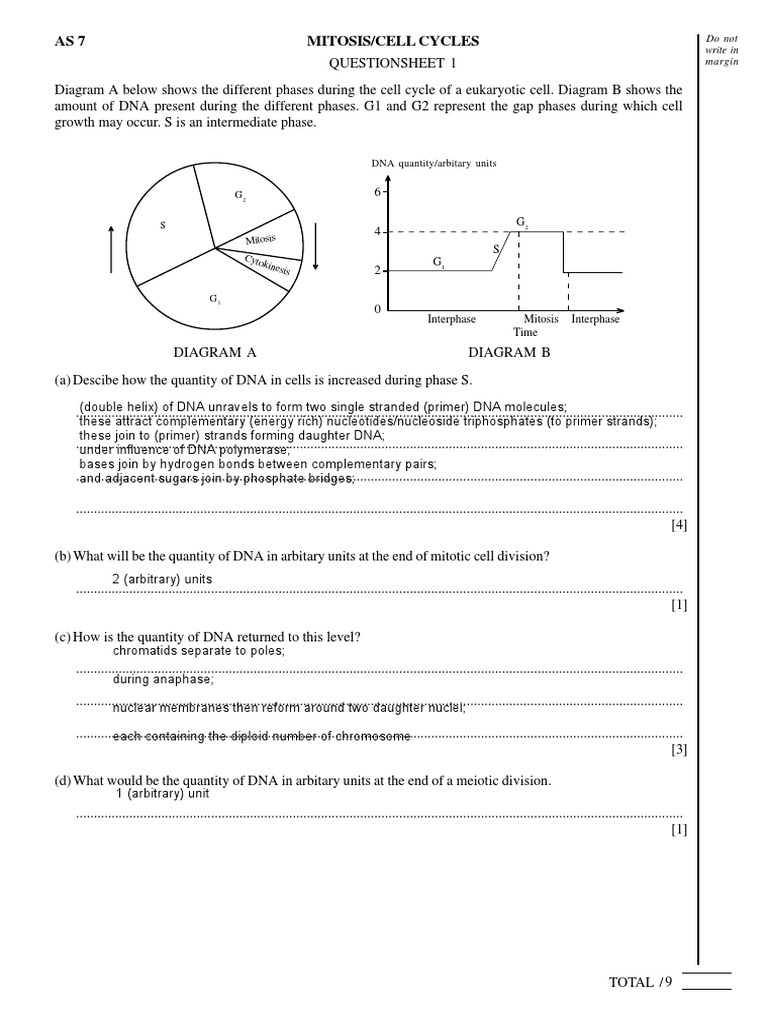 Mitosis and Cell Cycles | PDF | Mitosis | Meiosis
