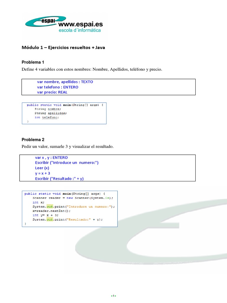 Módulo 1 - Ejercicios Resueltos + Java | PDF | Informática | Business