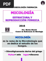 Morfología de Los Hongos | PDF | Mitosis | Reproducción sexual