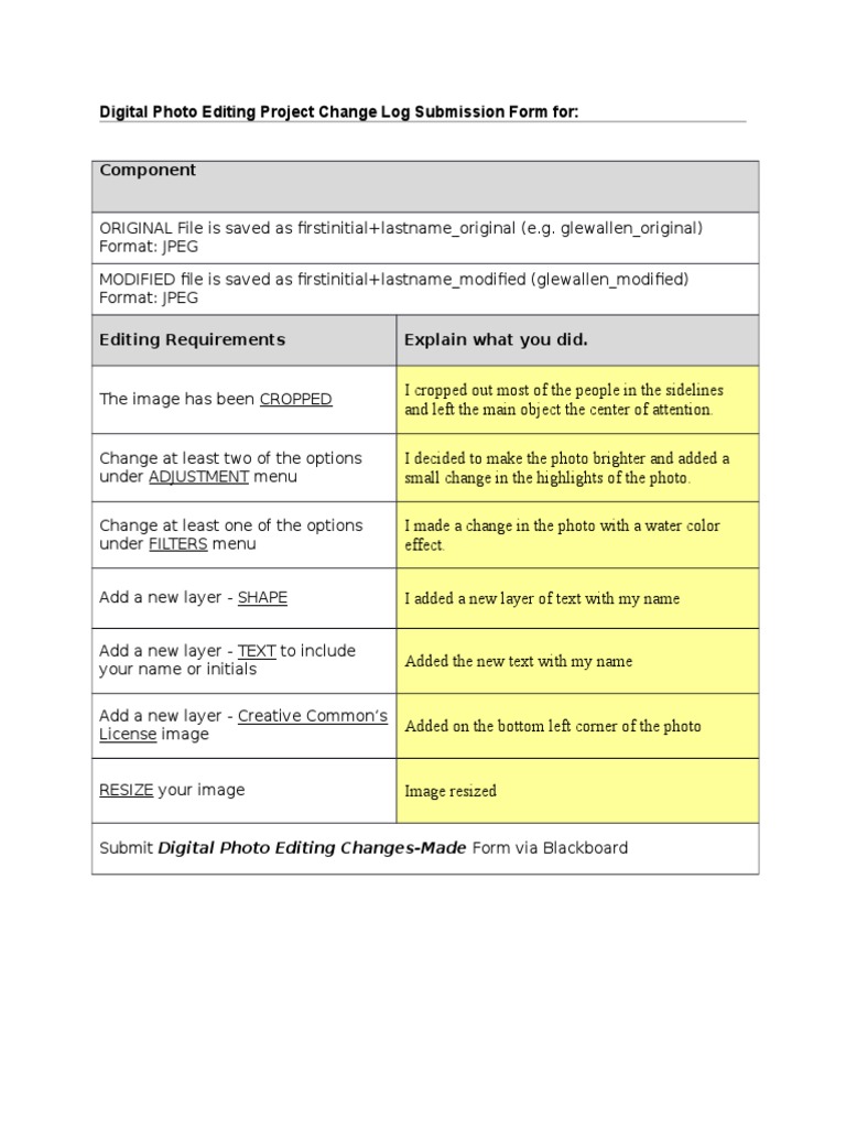 Digital Photo Editing Change Log Form | PDF