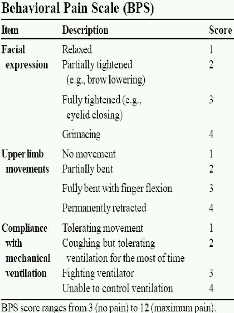 Behavioral Pain Scale | PDF