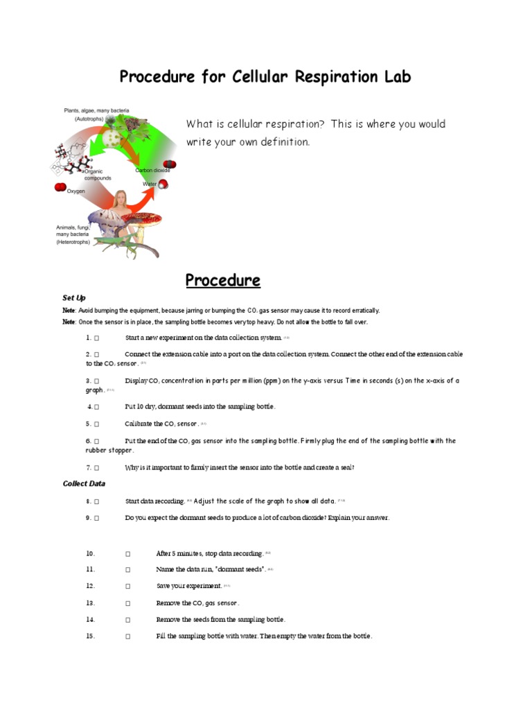 Cellular Respiration Lab Procedure | PDF | Carbon Dioxide | Chemistry