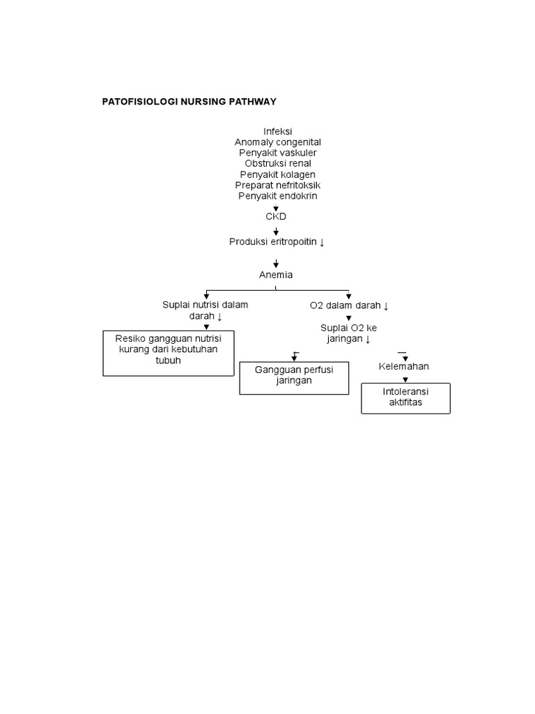 Patofisiologi Anemia pada CKD | PDF