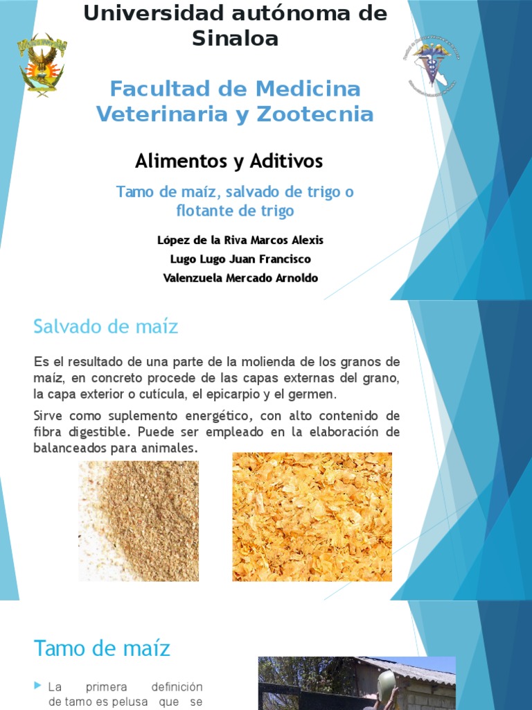 Definición y usos del tamo de maíz | PDF | Tecnología