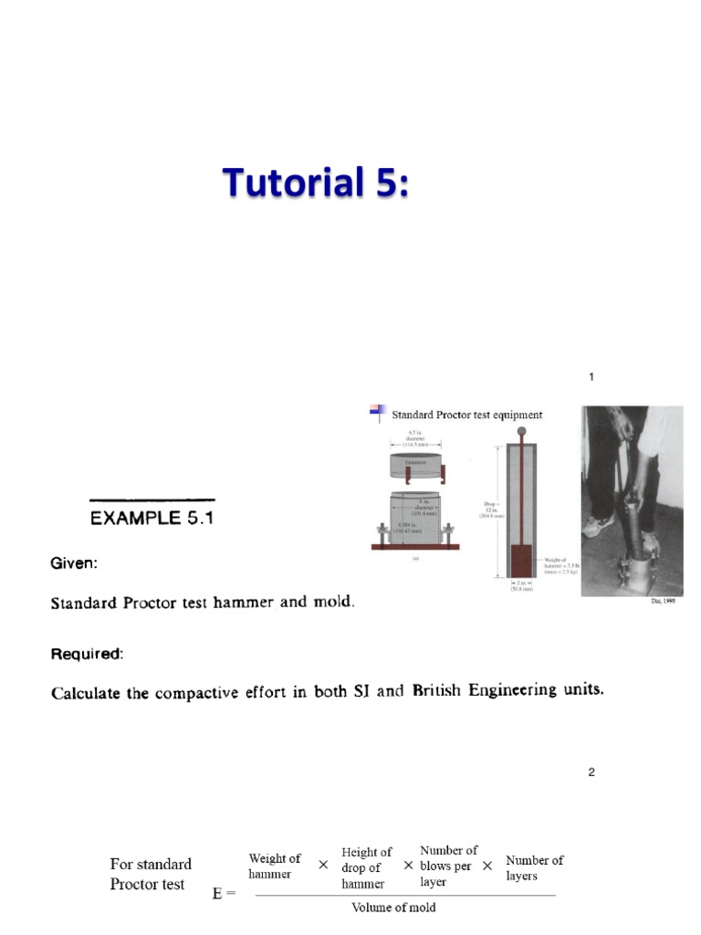 Topic 05 Tutorial | PDF