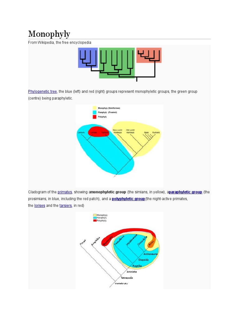 Monophyly: Phylogenetic Tree | PDF | Scientific Classification ...