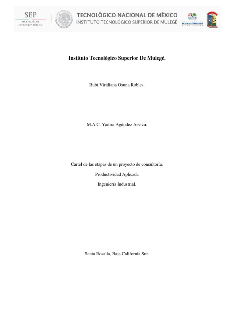 Etapas de Un Proyecto de Consultoría | PDF