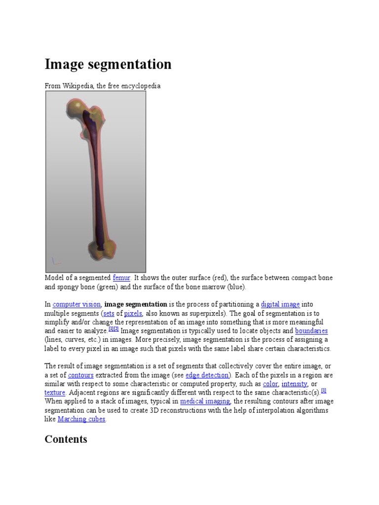 Image Segmentation: Femur | PDF | Image Segmentation | Areas Of Computer Science