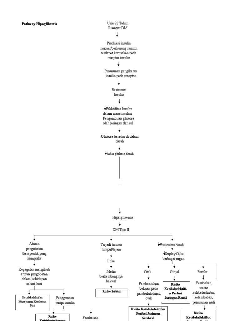 Pathway Hipoglikemia Fix | PDF