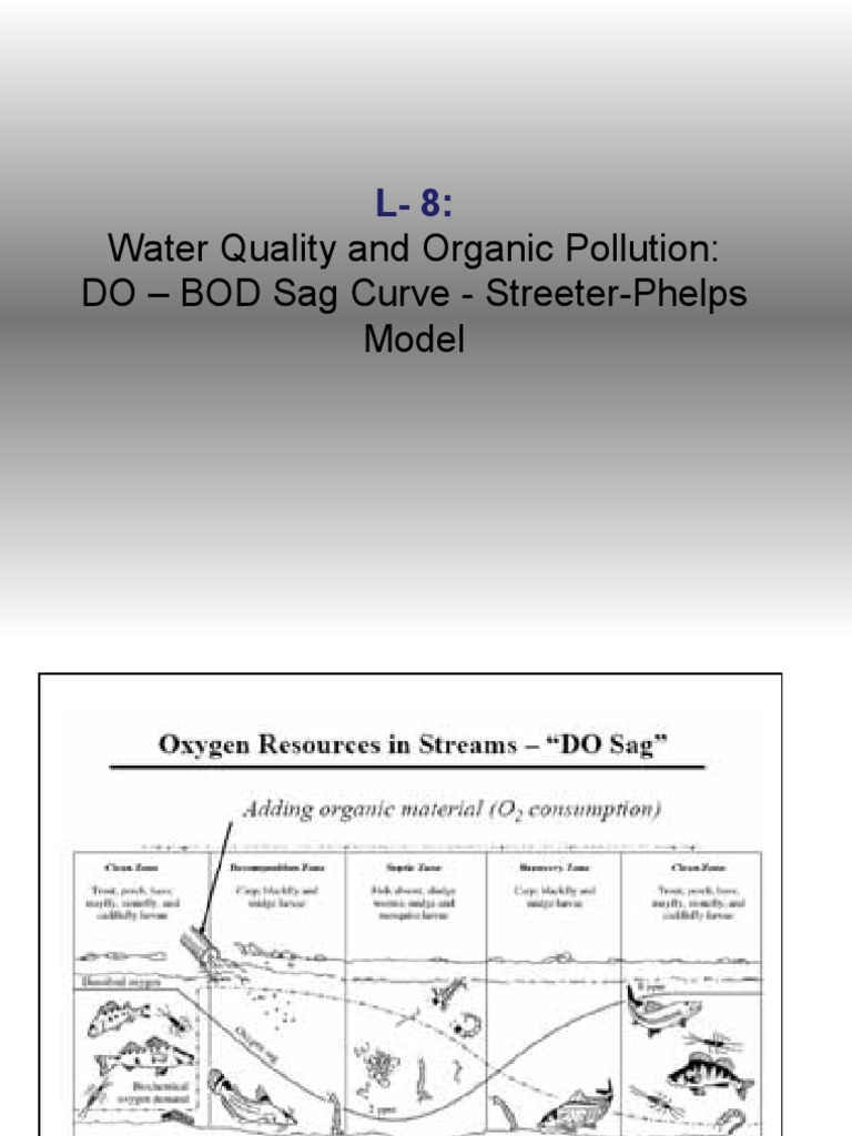 Water Quality and Organic Pollution: DO - BOD Sag Curve - Streeter ...