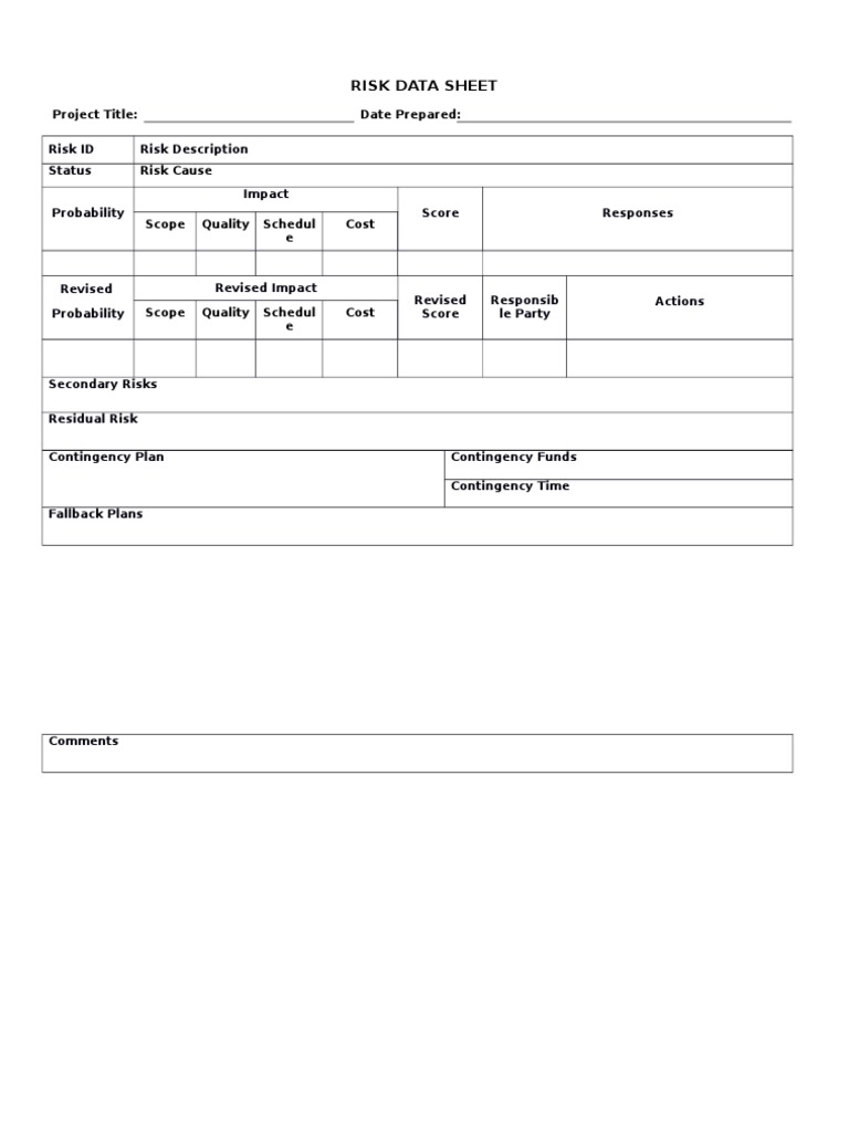 Risk Data Sheet: Project Title: Date Prepared | PDF