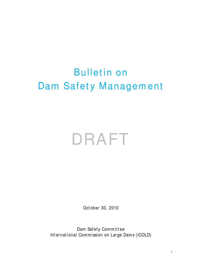 ICOLD Bulletin Dam Safety Management-Draft October 2010 | PDF | Risk ...