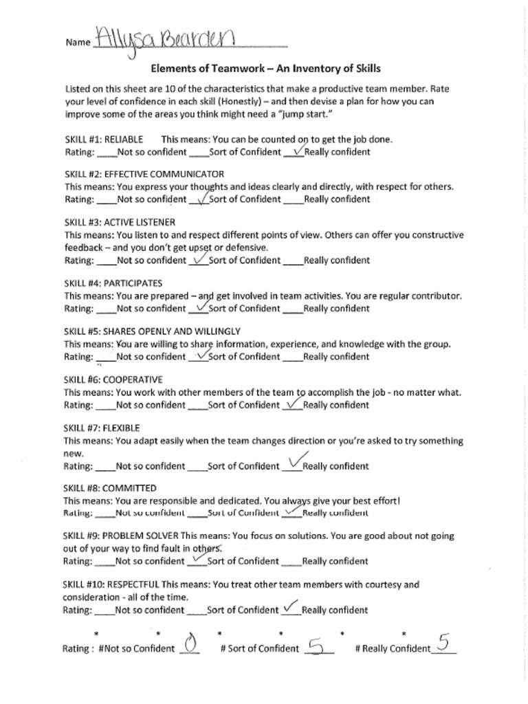 BC Elements of Teamwork Inventory Skills s2 | PDF