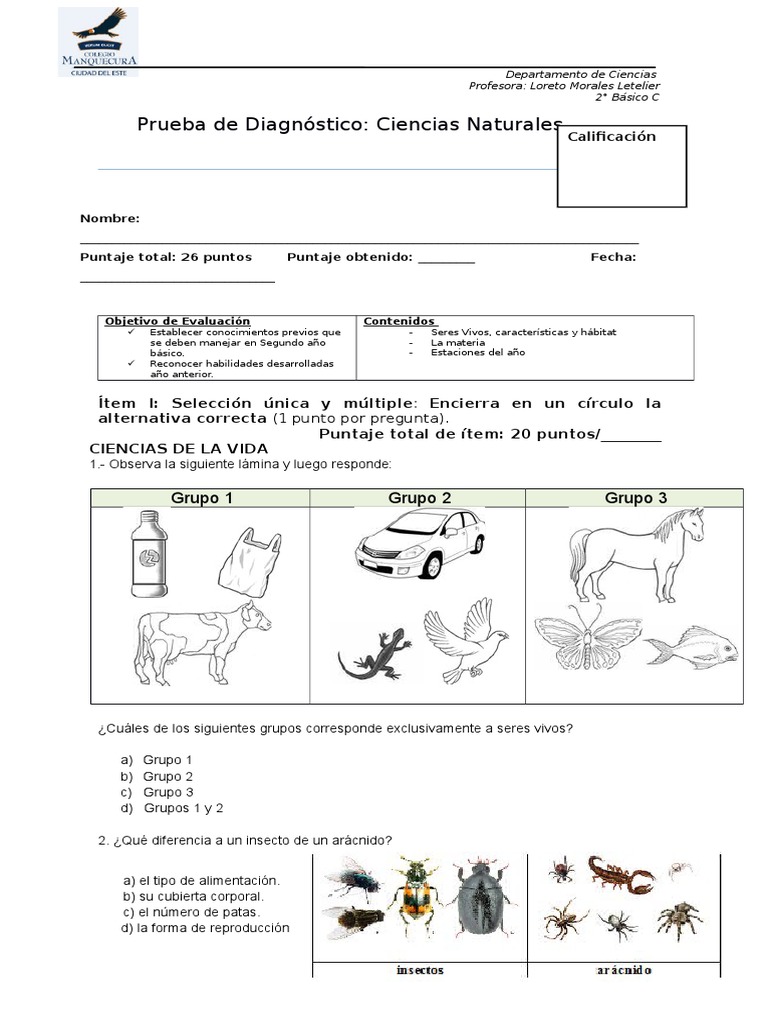 Prueba Diagnóstica Ciencias Naturales 2° Básico | PDF | Noche | Science