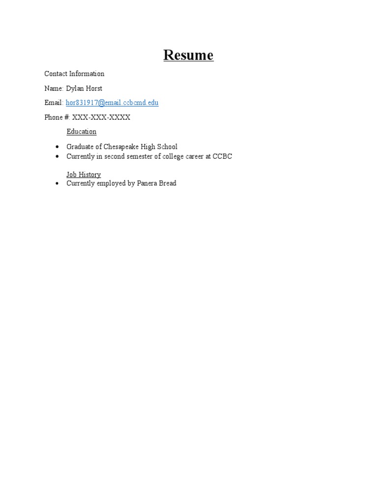 Csit 101 Resume | PDF