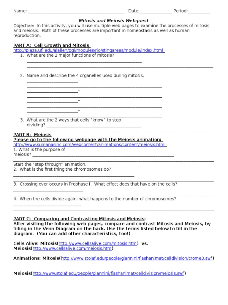 Mitosis and Meiosis Webquest Guide | PDF | Meiosis | Mitosis