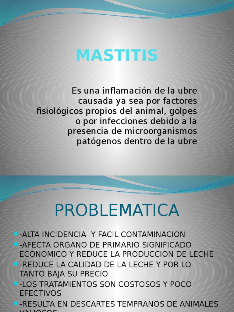 Mastitis II | PDF | Enfermedades y trastornos | Microbiología