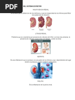 Triptico Enfermedades Del Sistema Excretor | PDF | Sistema urinario | Riñón