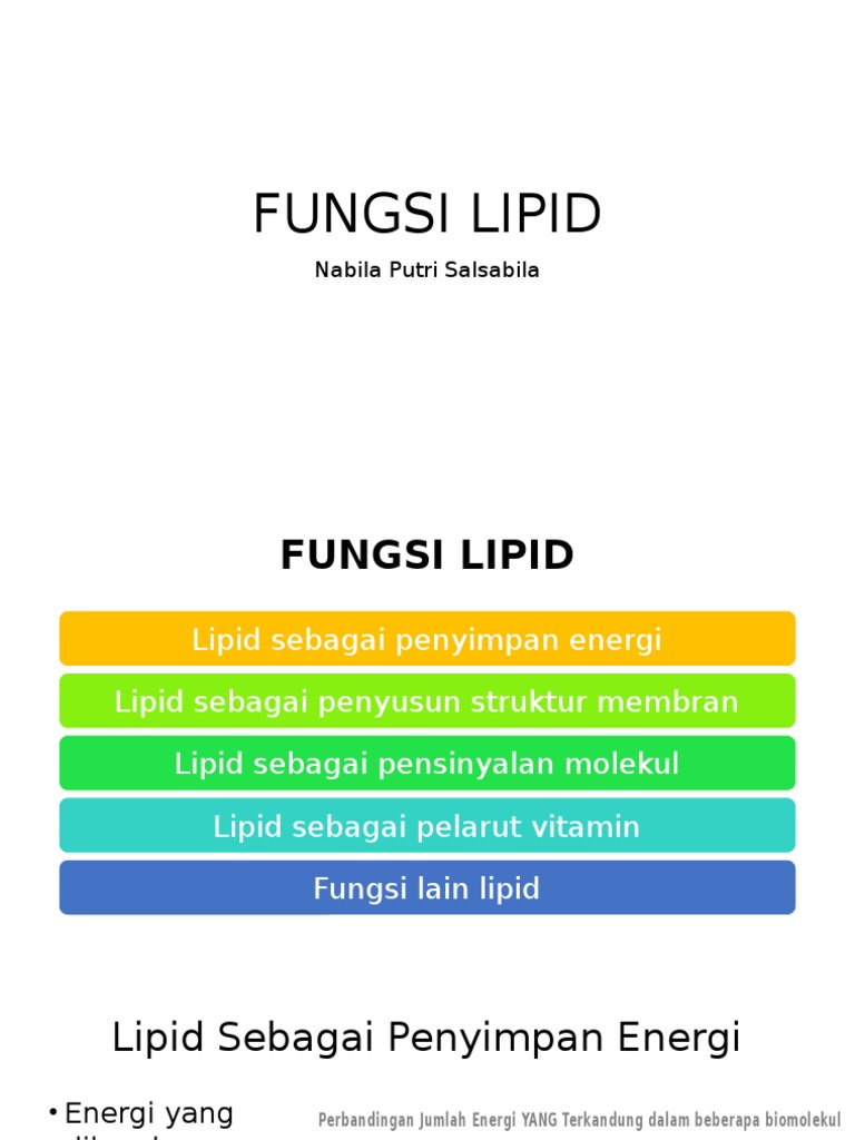 Peran dan Fungsi Lipid dalam Tubuh | PDF