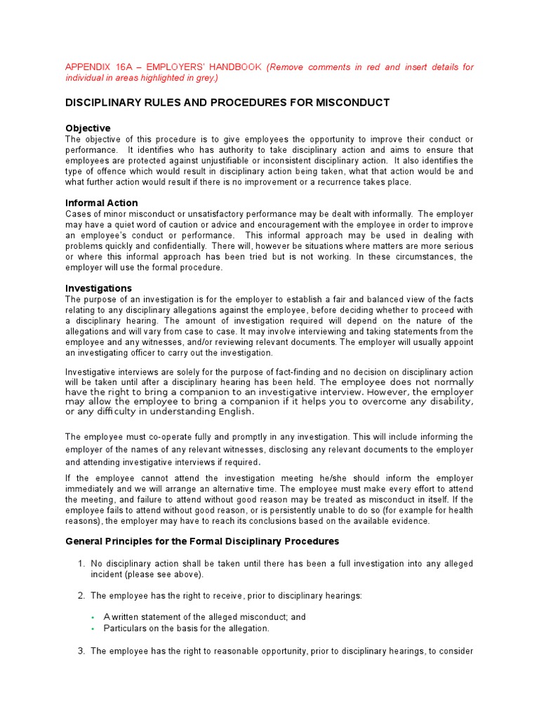 16A Disciplinary Rules And Procedures For Misconduct docx Employment 