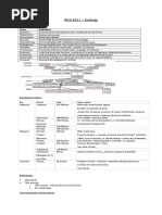 Animal Kingdom Flow Chart | PDF | Biology | Zoology