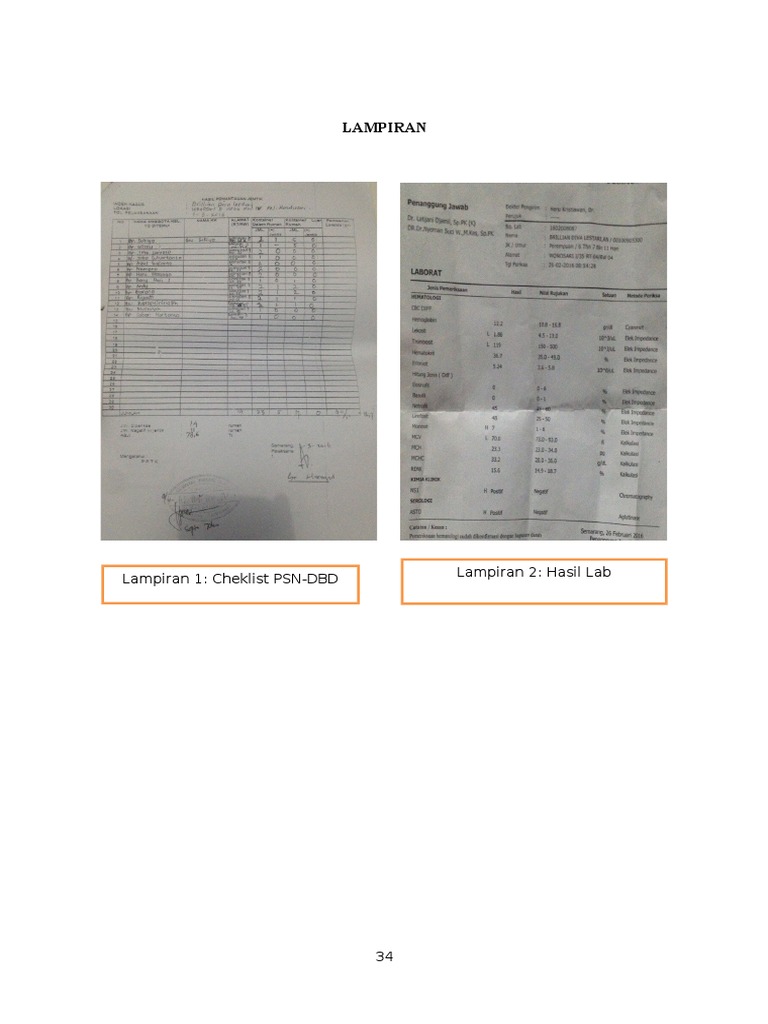 Lampiran: Lampiran 2: Hasil Lab Lampiran 1: Cheklist PSN-DBD | PDF